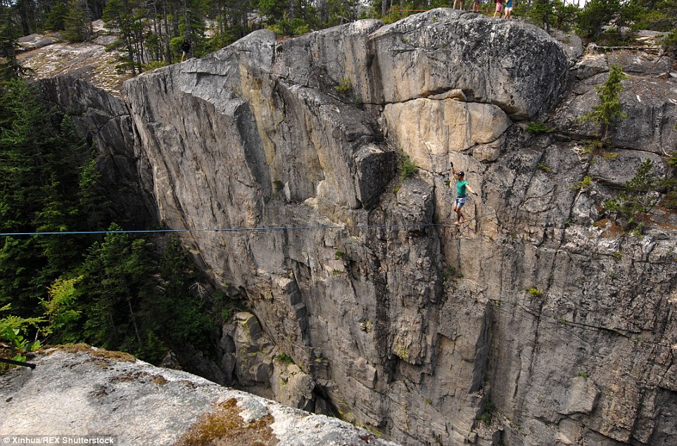 The Yawning Chasm Between All-in-One Demand and Adoption - Localogy