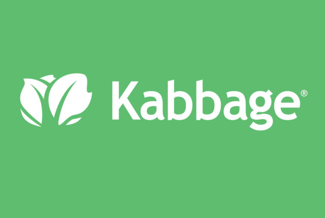 Kabbage Offers New Solution to Improve SMB Cash Flow - Localogy